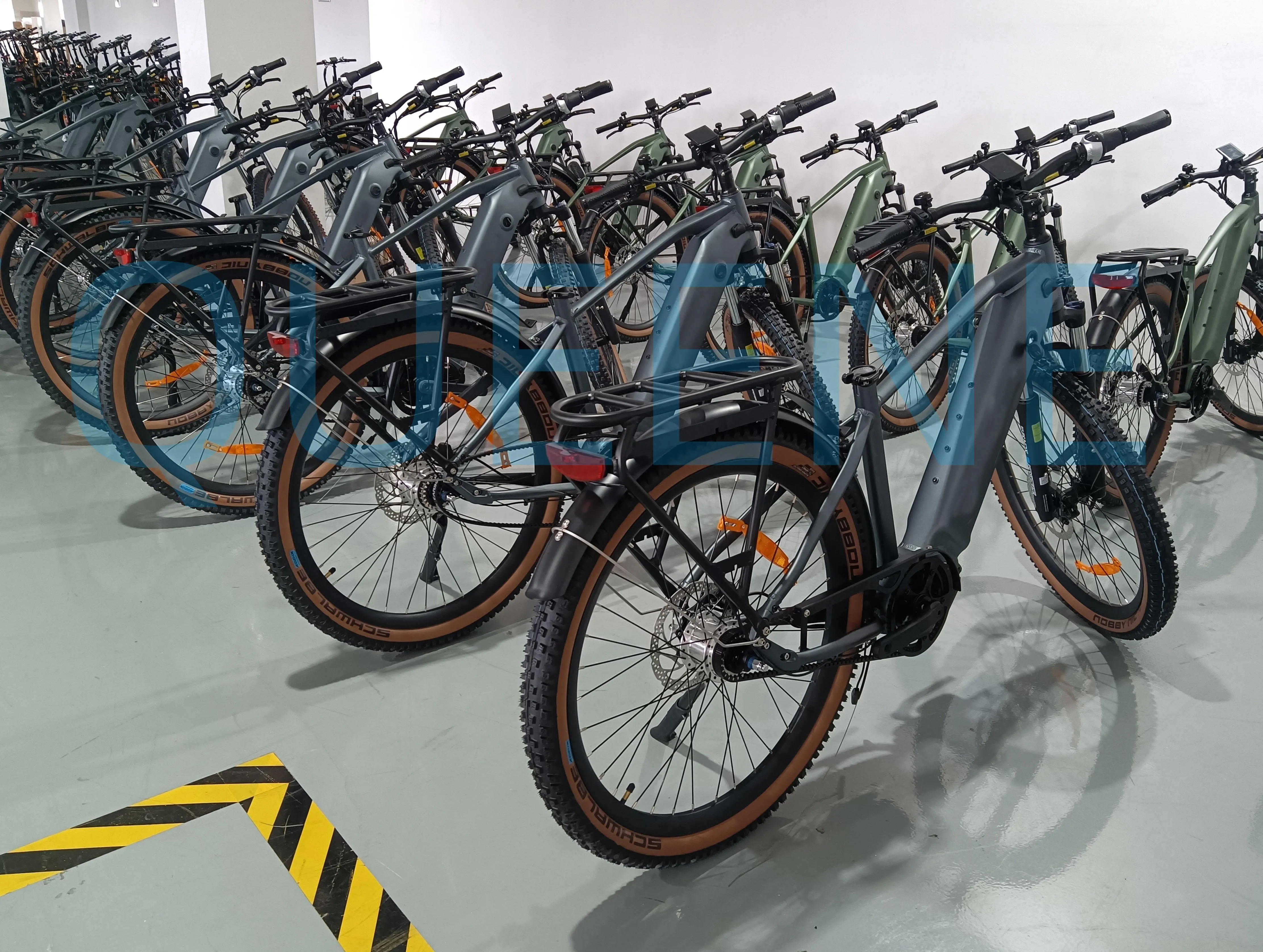 QUEENE/28 Inch E-Bike - Fast Electric Bike with 750W Power