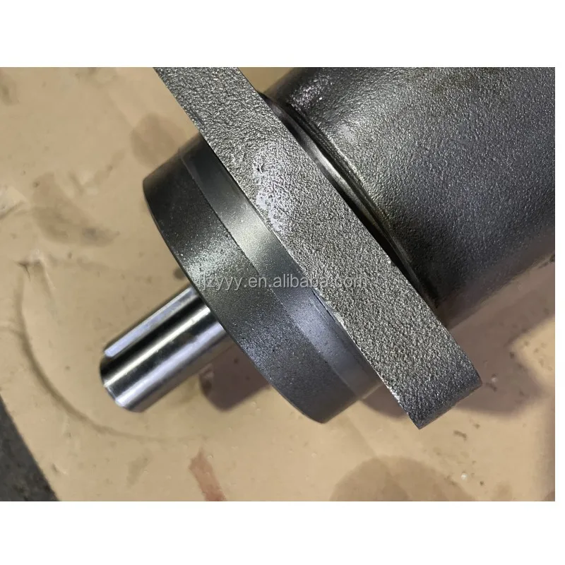 A2f55w2p1 Hydraulic Piston Motor A2f10 A2f12 A2f23 A2f28 A2f45 A2f55 ...