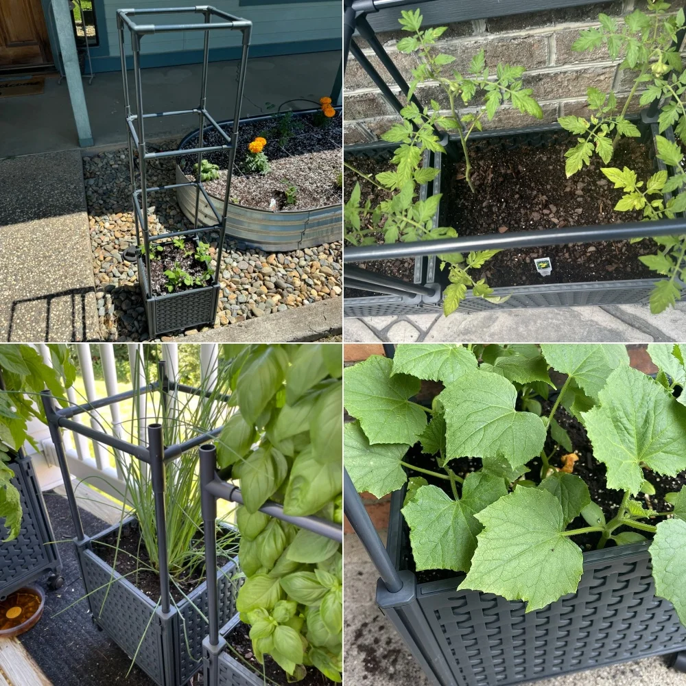 Hot Sell Square Iron Wire Plant Growth Frame - Tomato Cage