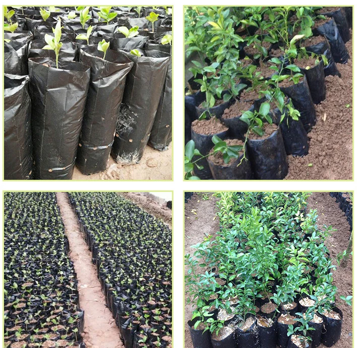 Plastic Planting Seedling Bag Poly Grow Bag Custom Nursery Bag| Alibaba.com