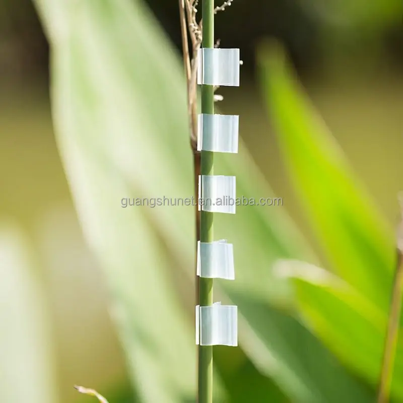 Plant Support Clips Gentle Flower Plant Clamps for Supporting Vine ...