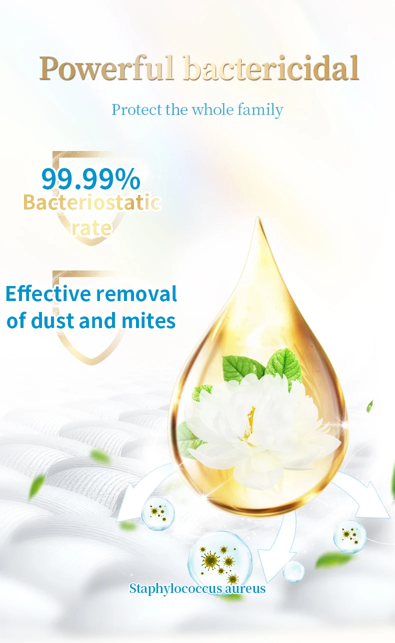 China Popular Low Foam Washing Laundry Liquid Detergent Mite Removal ...