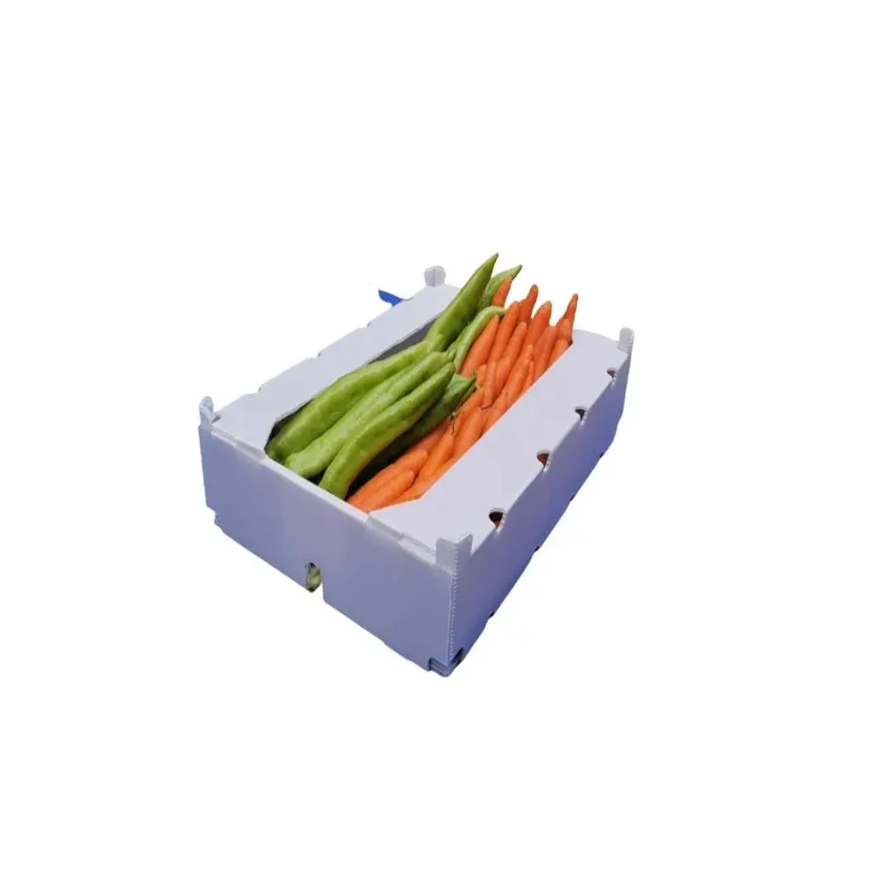 Environmental Friendly Pp Plastic Corrugated Danpla Corflute Box For ...