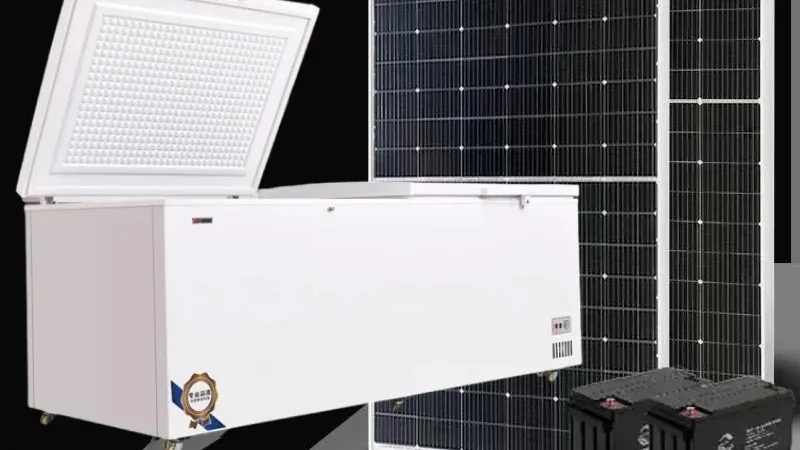 Double Doors Solar Energy 12v Solar Dc Energy Saving Deep Chest Freezer ...