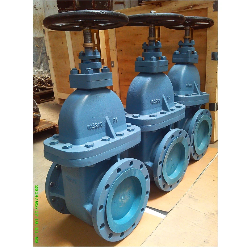 JIS Cast Iron FC200 Marine Flange Gate Valve F7363 20K