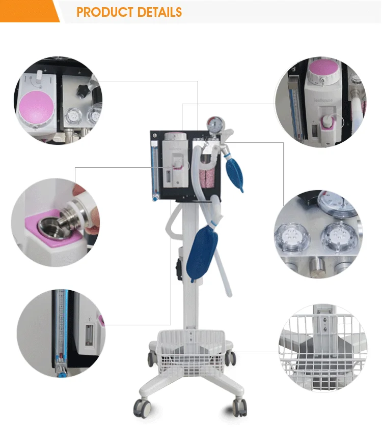 Portable Mri Compatible Veterinary Anesthesia Machine For Laboratory ...