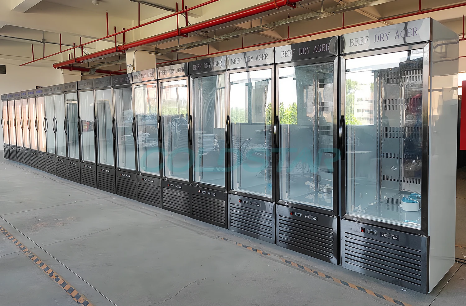 Commercial Restaurant Glass Door Ripening Meat Refrigerator Beef Dry ...