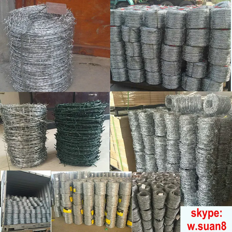 12 Swg Galvanized Iron Barbed Wire With 4 Points - Buy Swg12 Barbed ...