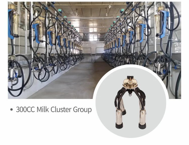 300CC Milk Claw Milking Cluster Group for Dairy Farms
