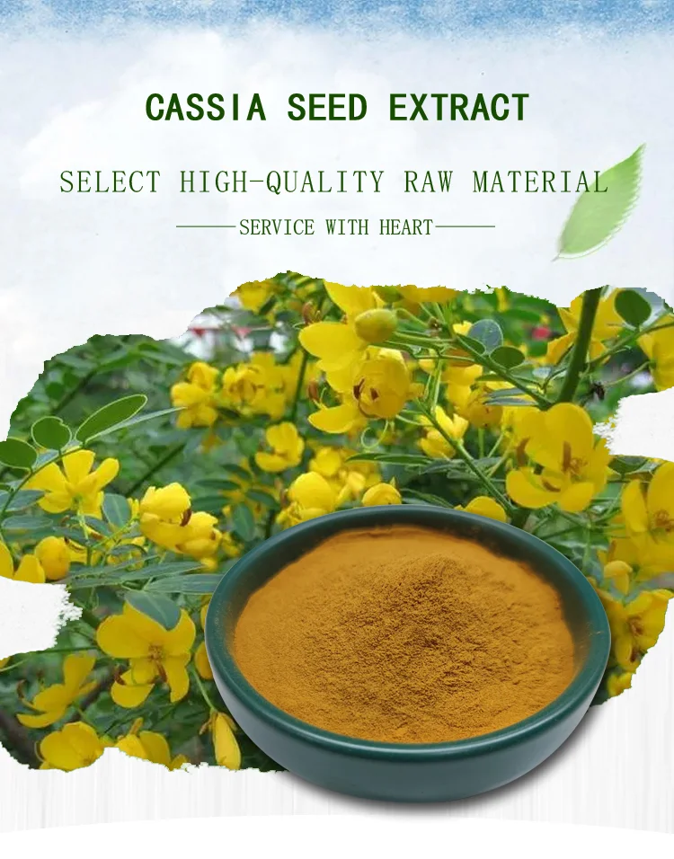 Top Quality Water-soluble Cassia Seed Extract Powder - Buy Cassia Seed ...