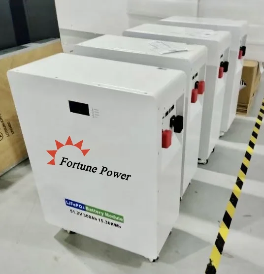 Fortune Power Factory 51.2V 300Ah 15kWh Home Solar Battery Bank 15kWh ...