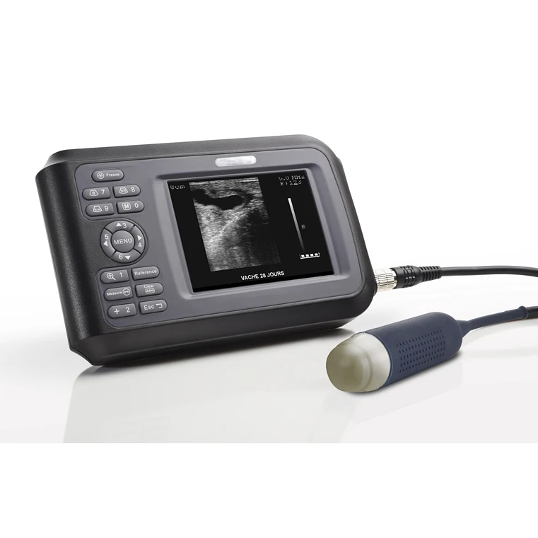 All Digital Obstetric Handheld Vet And Animal Ultrasound Scanners ...