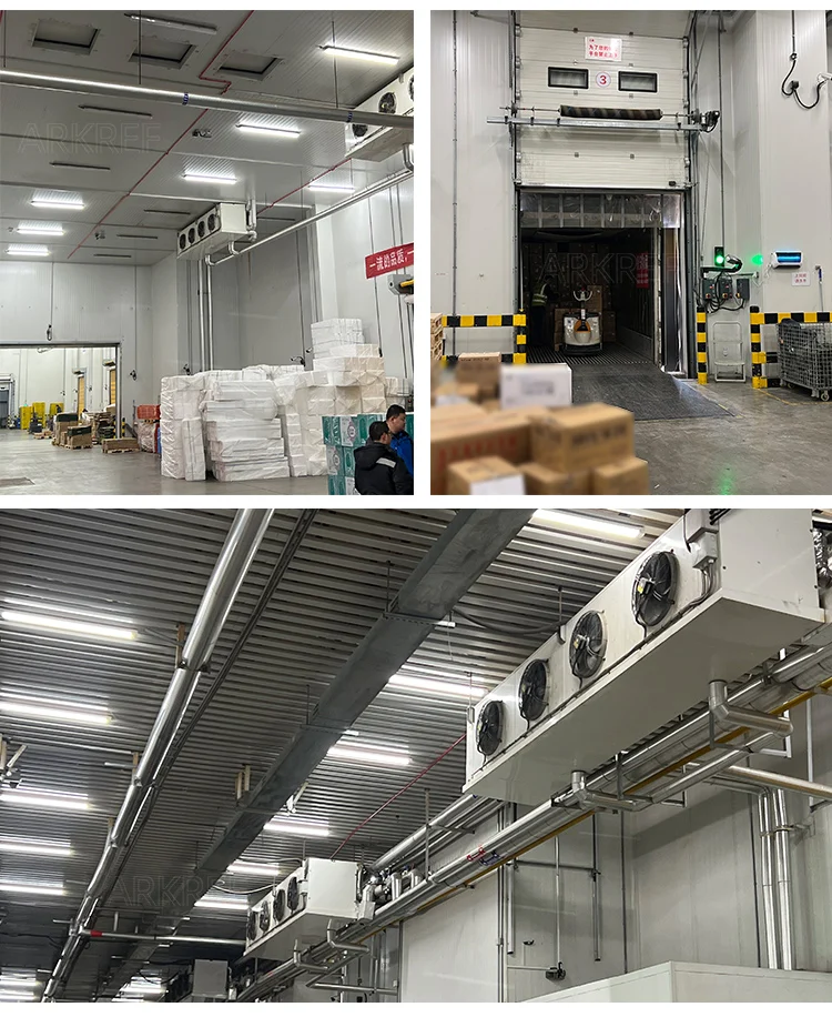 Arkref Walk In Cooler Panels Cold Room Refrigeration Unit Large Cold ...