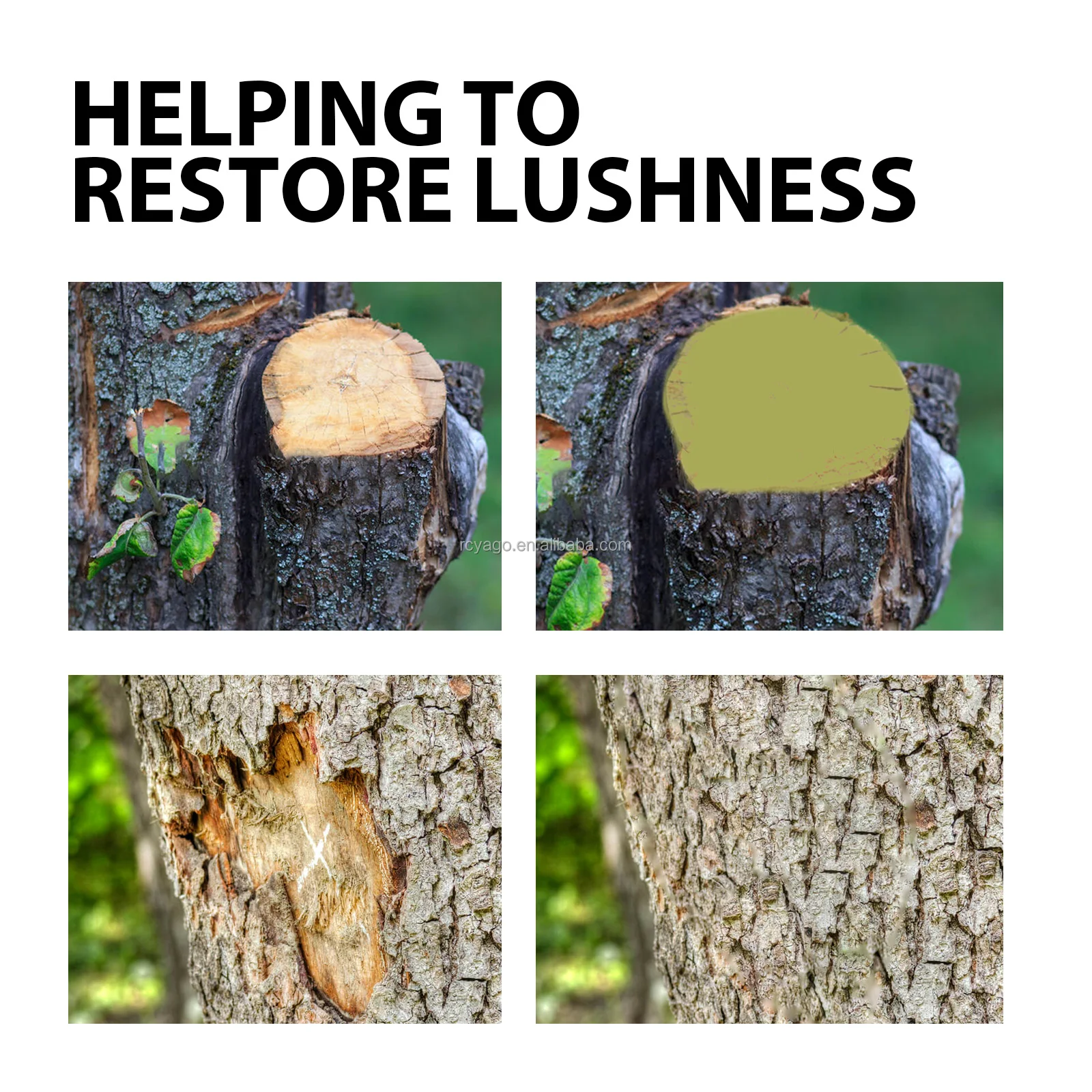 Tree Wound Dressing Paste - Protect Your Trees Naturally