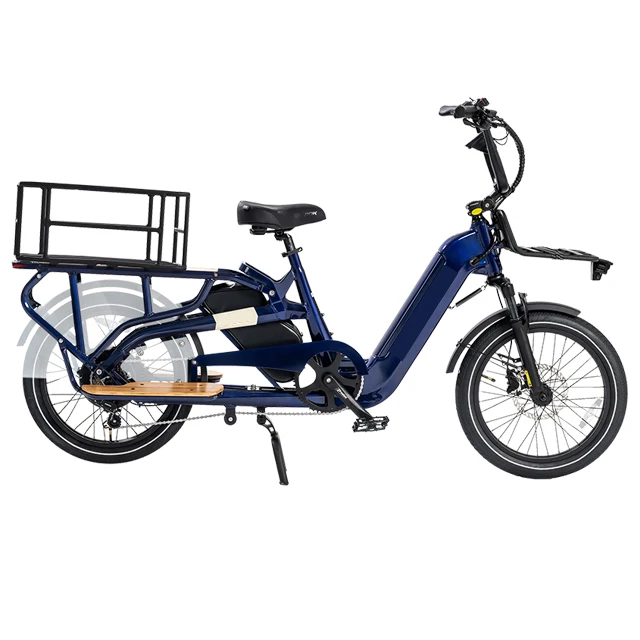 2 Battery Electric Cargo Bicycle Long Range Electrically Cargo Bike 2 ...