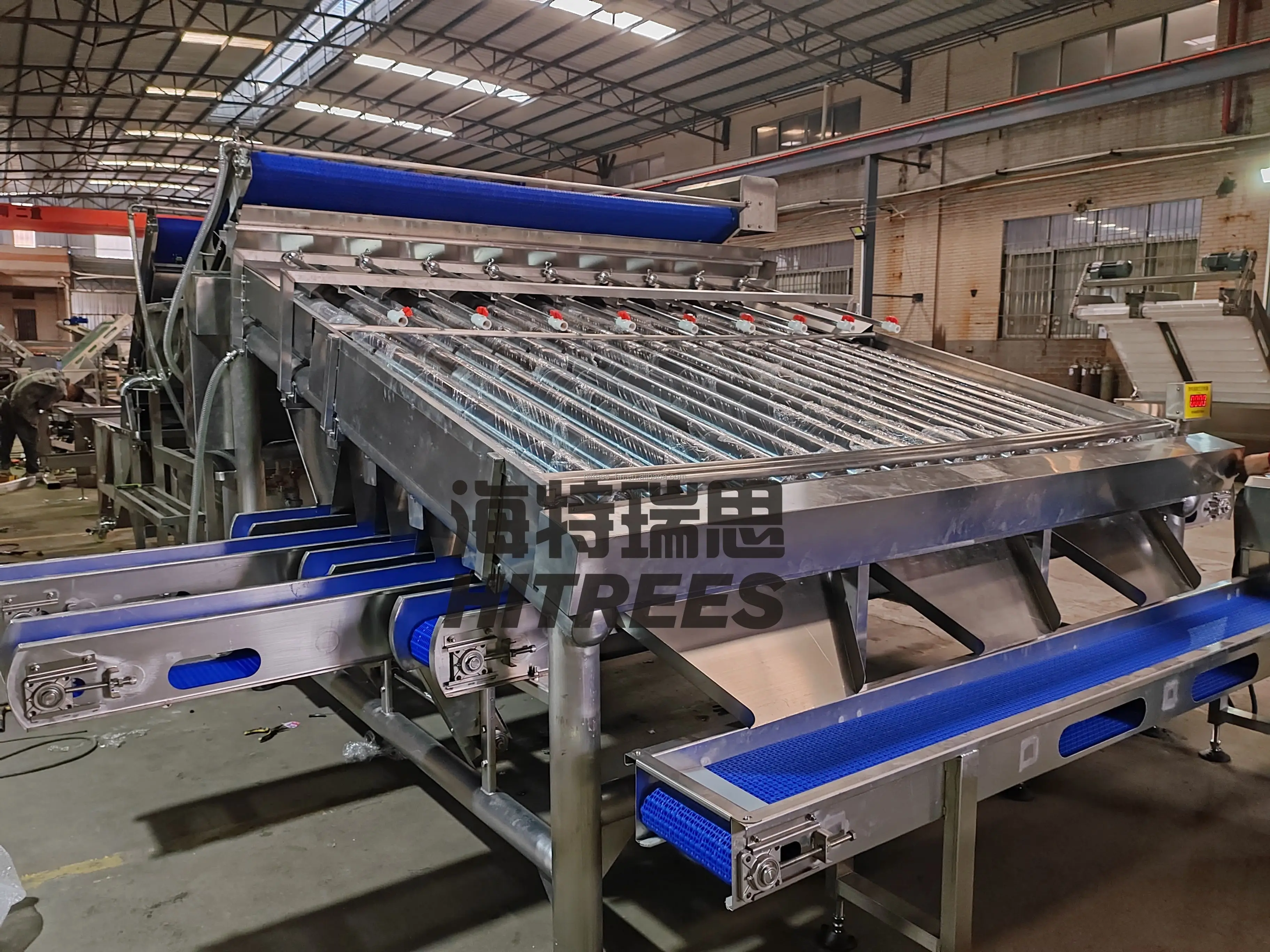 High Automation Shrimp Sorting Machine Prawn Sorting Machine Shrimp ...