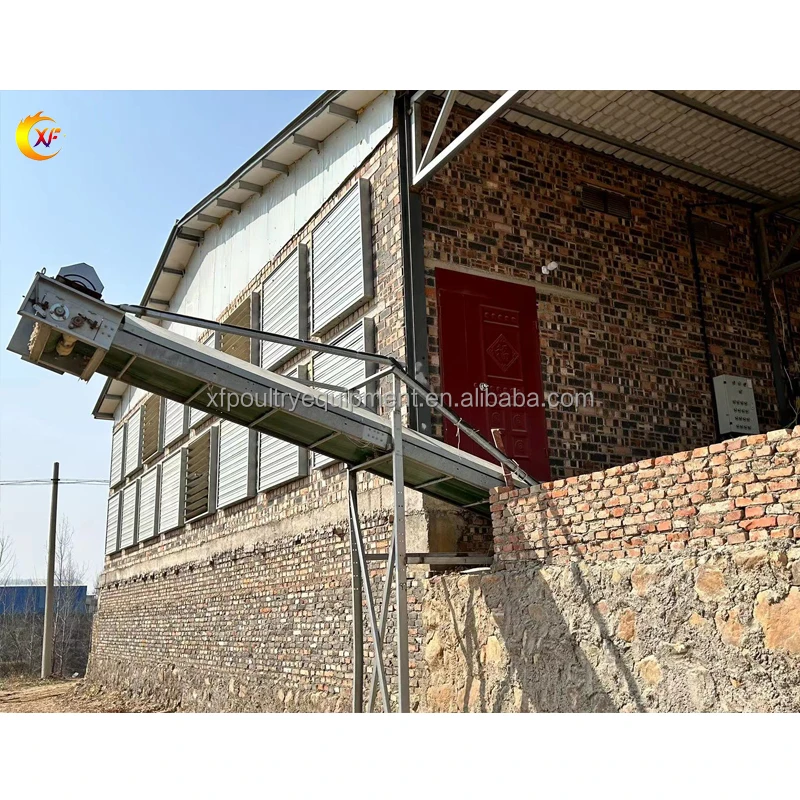 Efficient Chicken Manure Removal System for Farms