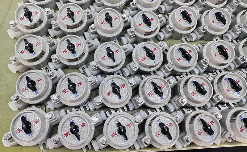Explosion Proof Light Switch - Safe Control in Hazardous Environments