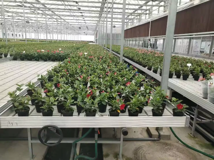 Indoor Farming Grow Racks 4ft X8ft Vertical Multi Layer Grow Table Two ...