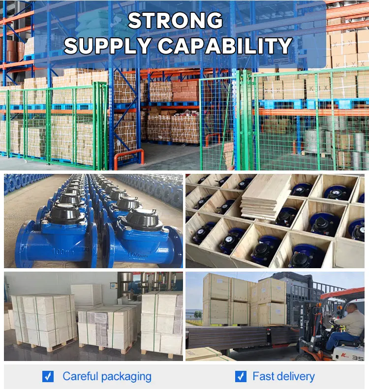 DN 80 Flange Macro Water Meter Woltman Type for Cold Water