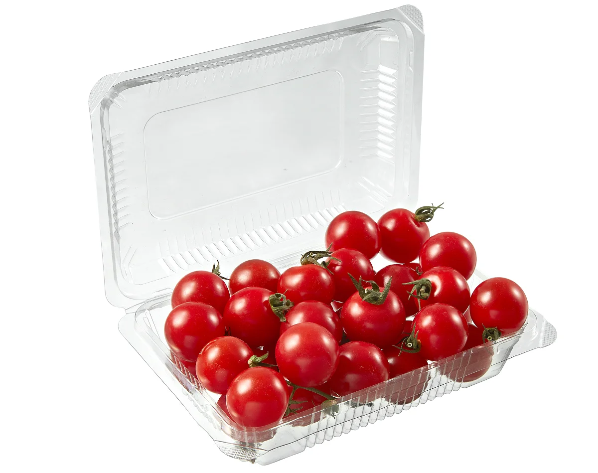 Disposable Clamshell Plastic Clear Fruit Container PET Transparent ...