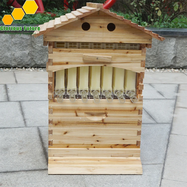 Complete Auto Flowing Honey Bee Hive With 7pcs Automatic Self Flows ...