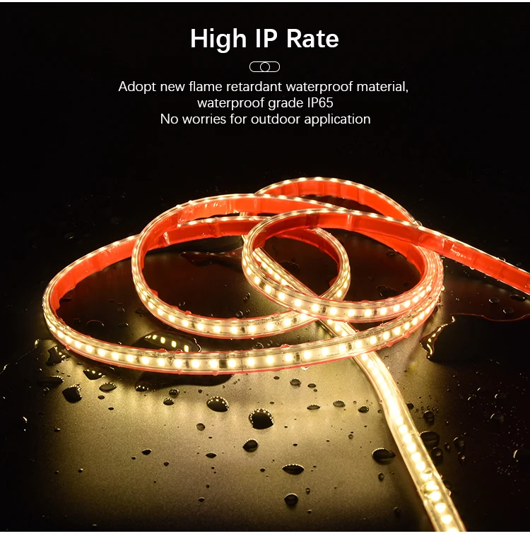 Driver Free 110v Waterproof Ip65 Led Strip Pvc Led Rope Light Ce Rohs ...