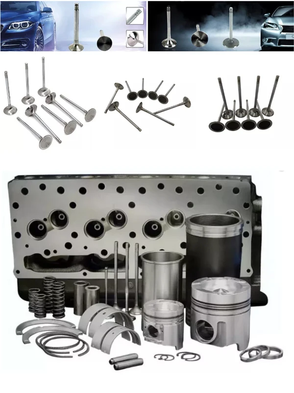 Inlet Valve Outlet Valve Kit Ea211 1.0l 1.6l For Audi A1 A3 Q3 Vw Golf ...