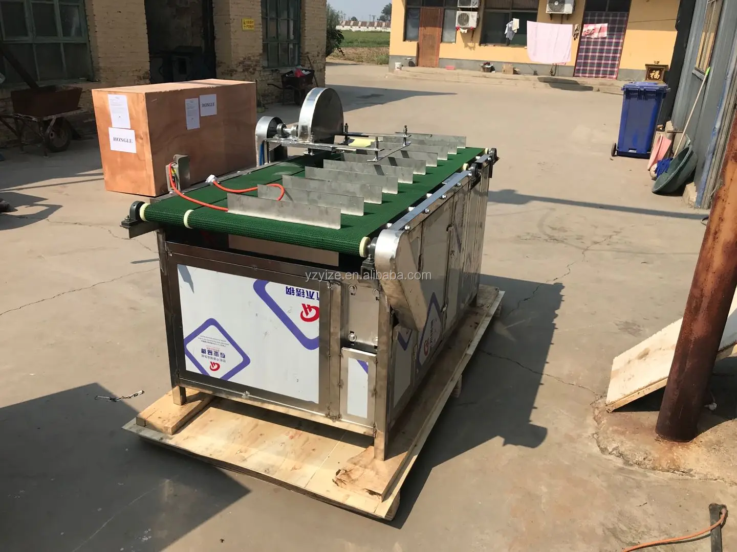 Stainless Steel Fish Gutting Machine - Efficient & Durable