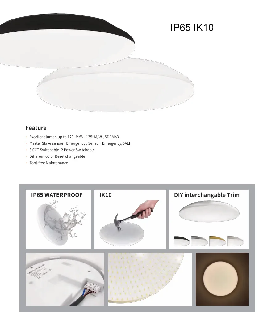 Ip65 Ik10 Sensor Emergency New Round Aisle Corridor Ceiling Lamp Modern ...