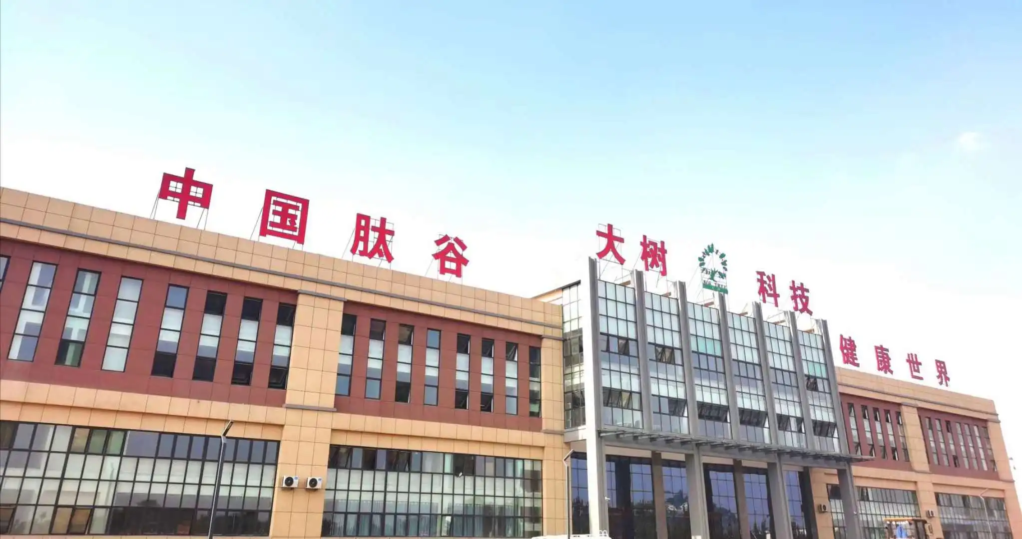 Maltodextrin Halal for Ice Cream Dextrose Maltodextrin Food Thickener