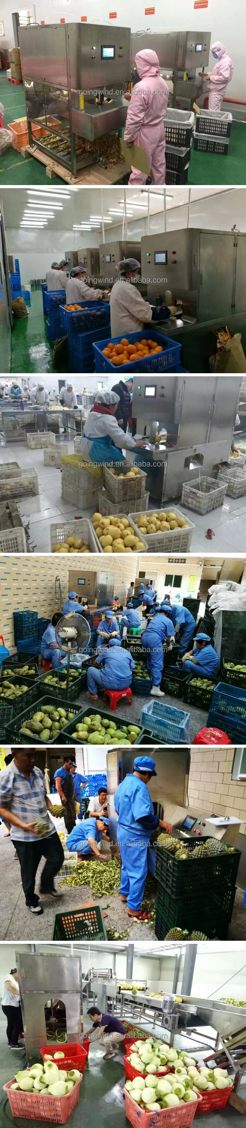 Efficient Jackfruit Peeling Machine - Auto Industrial Skinning Equipment