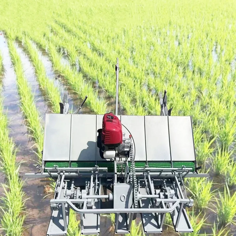 6 Lines rice transplanting machine paddy rice field transplanter Paddy ...