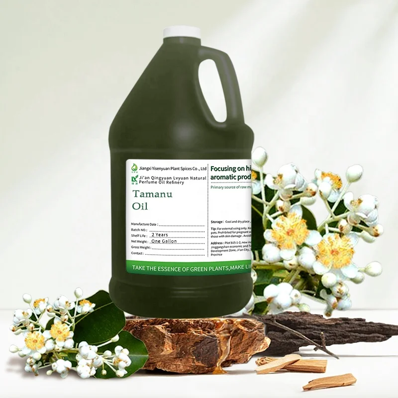 1 Gallon Organics 100% Pure Tamanu Oil Wholesale Cold Pressed Oil Bulk ...