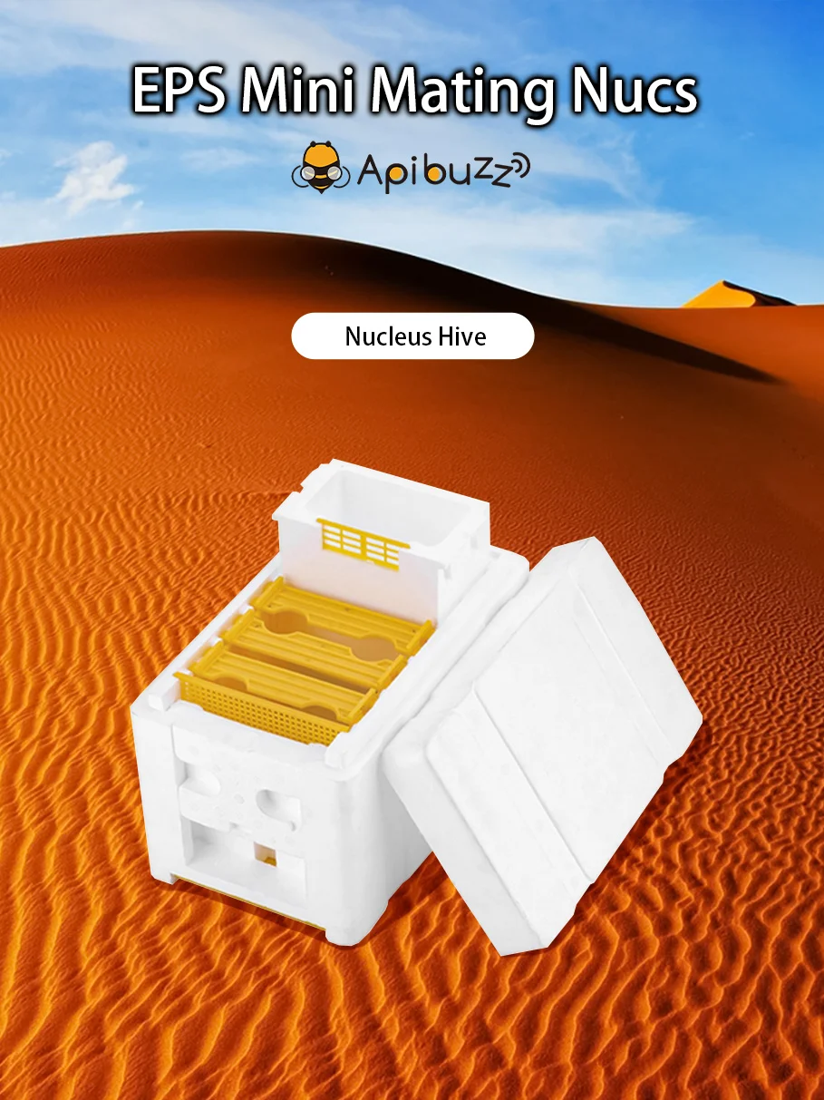 Queen Bee Mini Mating Nucs Box Nucleus Polystyrene Bee Hives Apicultura ...