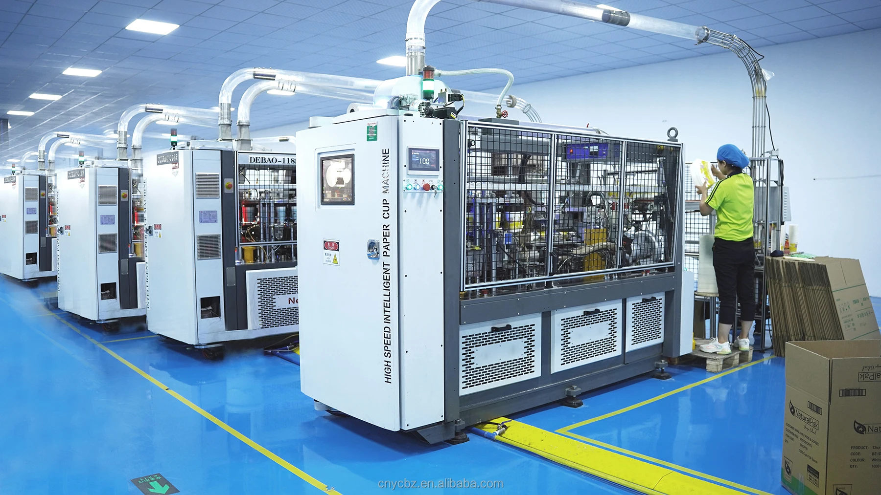 Disposable Paper Cups 8/10/12/16/20 Oz Single Wall Paper Cup Hot/cold ...