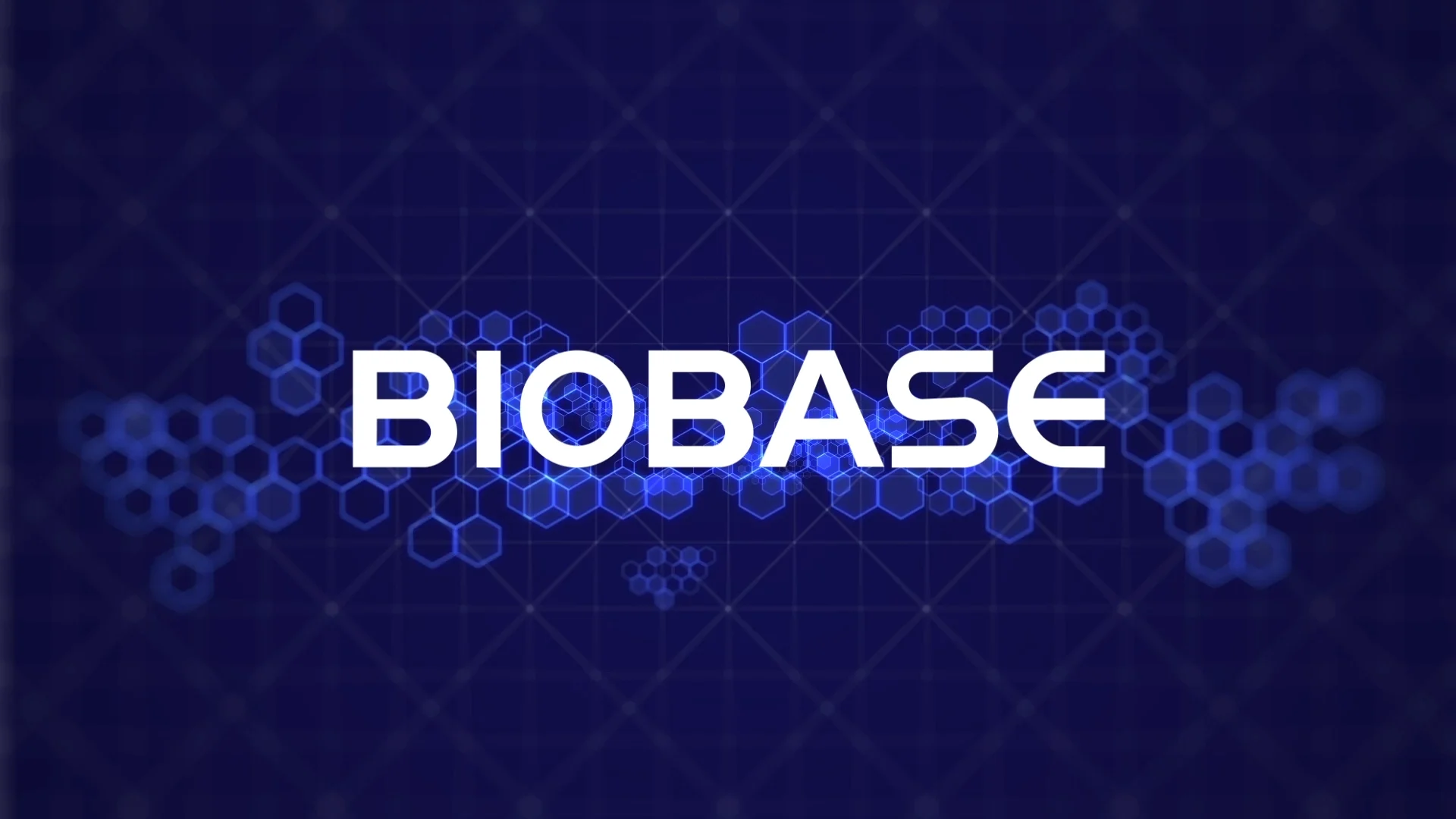 Biobase Lab Medical Equipment Weighing Scales Electronic Precision ...