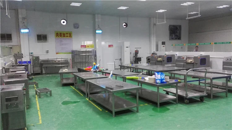 Automatic Vegetable Processing Line - Efficient & Durable