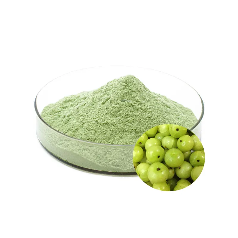 100% Pure Amla fruit powder Alma juice powder Amla Powder| Alibaba.com