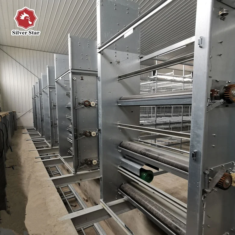 Broiler Poultry Farm House Design Folding Chicken Cage/multi-tier ...