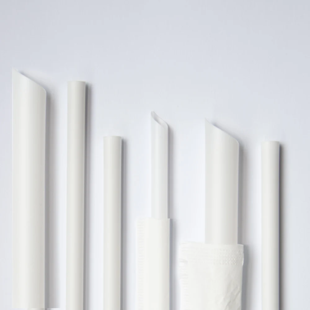 Biodegradable Straw Agave Sugarcane Bagasse Eco Friendly Disposable