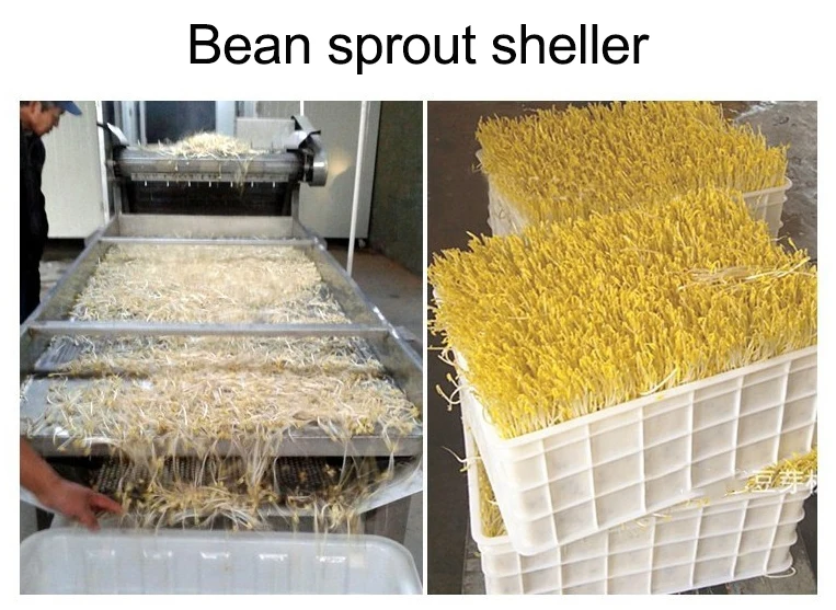 Mung Bean Shelling Machine Bean Sprout Vibratory Peeling Shell Machine ...