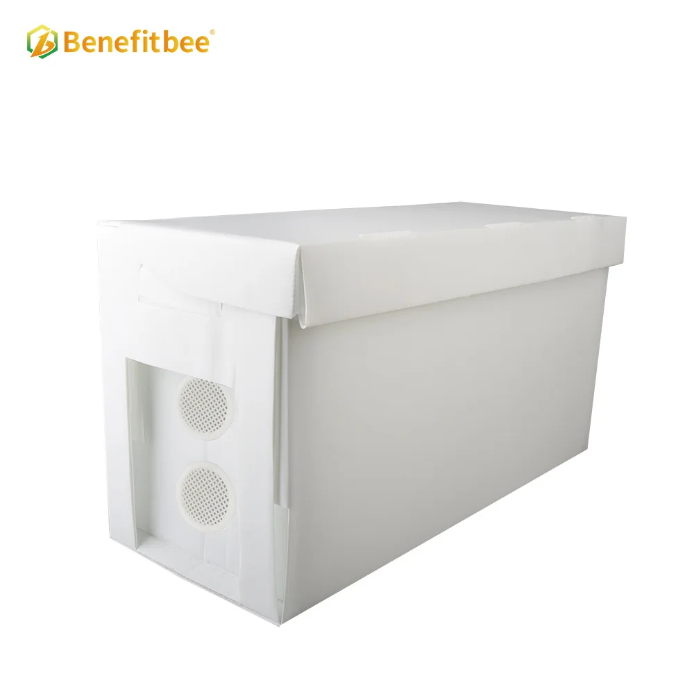 Benefitbee Plastic 5 Frames Nuc Bee Hive Box Beekeeping Folding Beehive| Alibaba.com