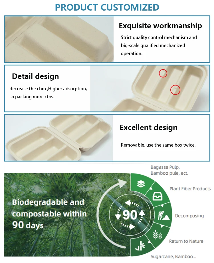 Compostable Biodegradable Bagasse Taco Box - 3 Compartment