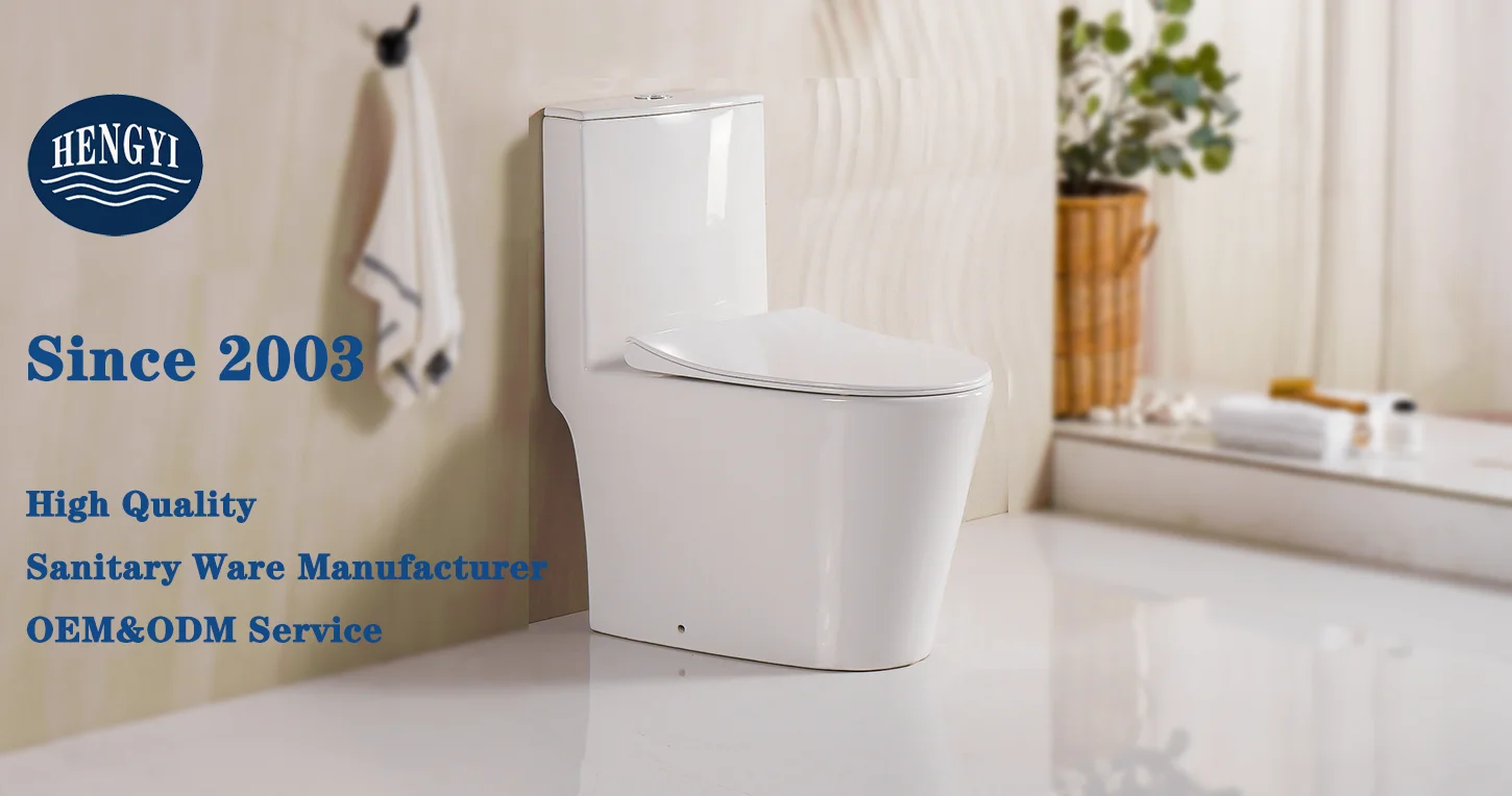 Modern Ceramic Toilet - One Piece Wc for Disabled