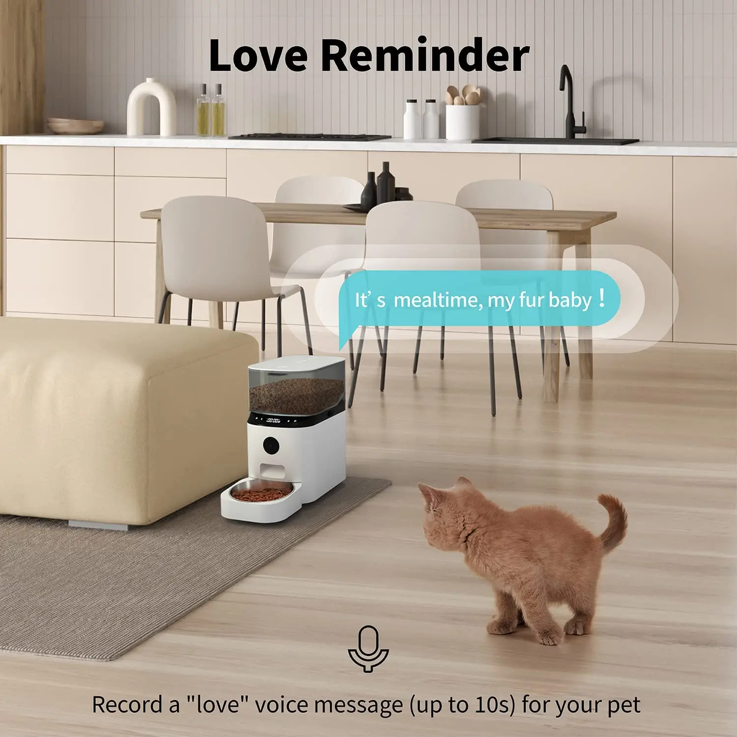 Smart Automatic Cat Feeders with Camera,1080P HD Night Vision 2.4G WiFi ...
