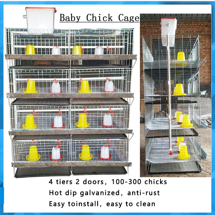 H Type 45 Days Baby Chicken Cage/ Brooder/ Day Old Layer Chick Cages ...