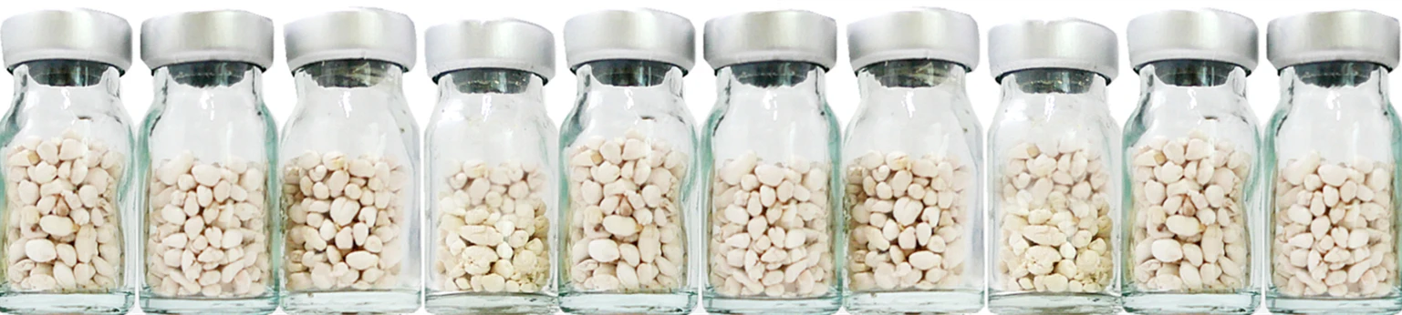 Carp Pituitary Gland Processing Bangladesh Fish Hormone