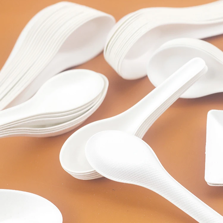 Custom Biodegradable 160mm Disposable Wood Cutlery Eco-Friendly Bagasse ...