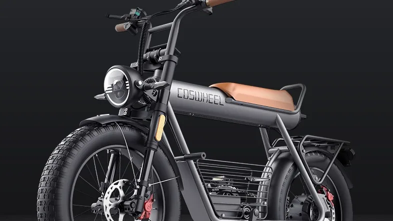 Coswheel Ct20 750w 25 Ah Brushless Motor 20*4 Inches High-performance ...